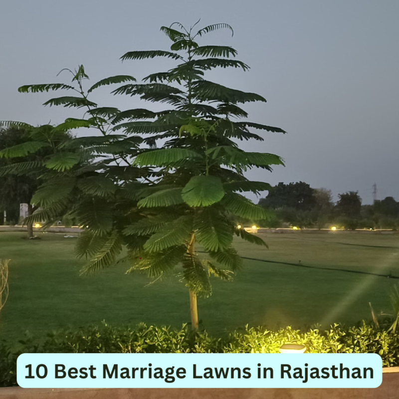 10 Best Marriage Lawns in Rajasthan - Madhuban Resorts